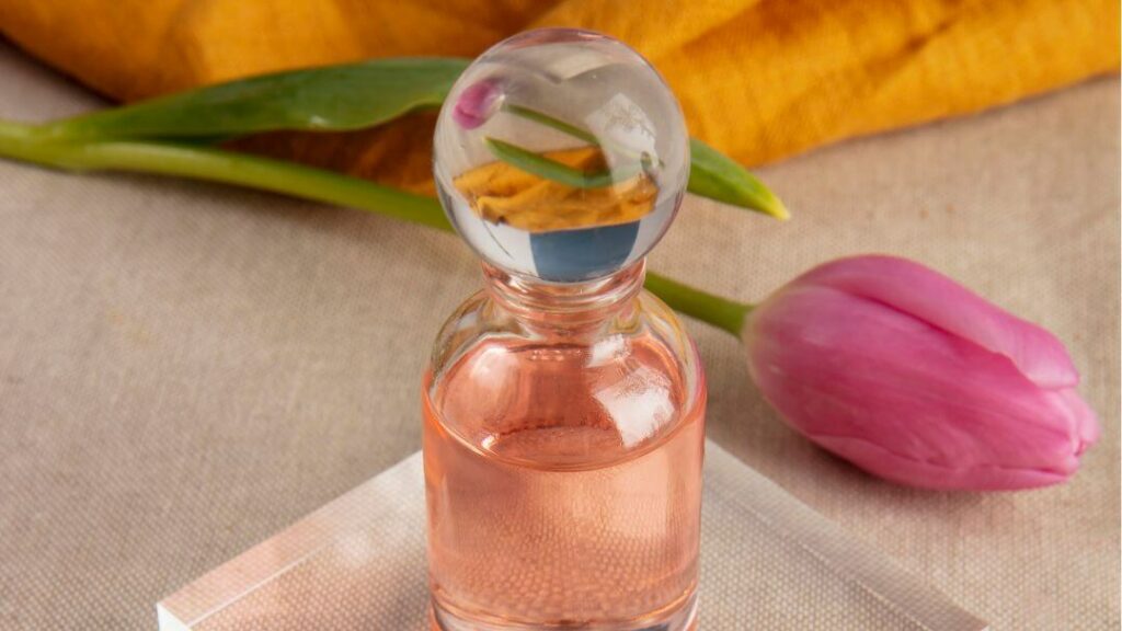 Visite de Fragonard à Grasse avec Tour Azur : une expérience unique